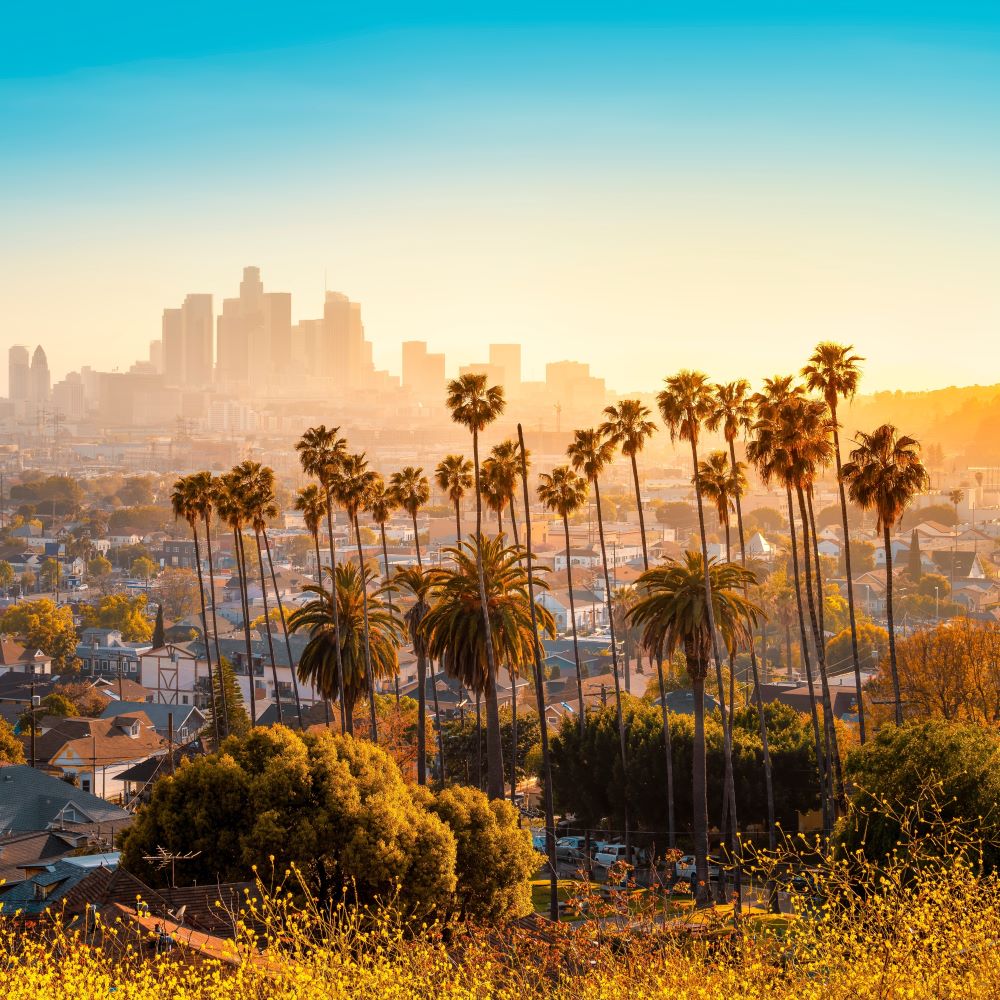 ASM MICROBE 2025 | Beckman Coulter