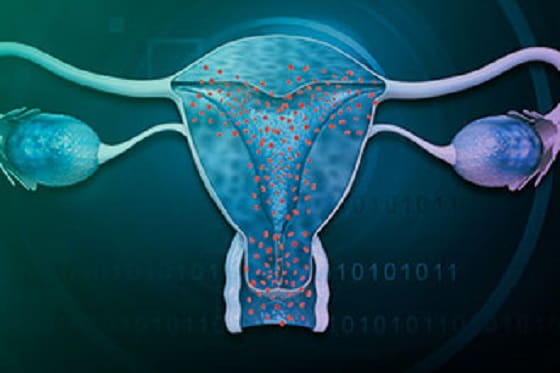 High Sensitivity | Beckman Coulter